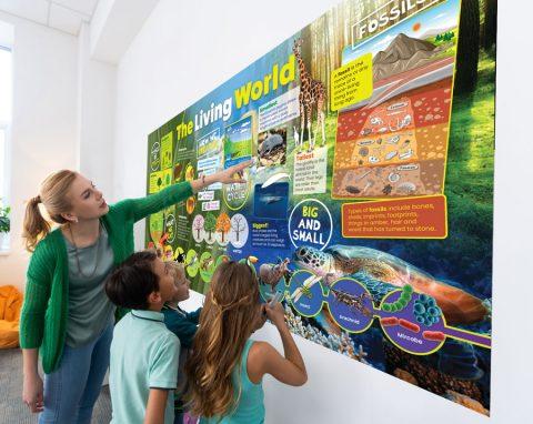 The Living World Wall Display - Design For Education