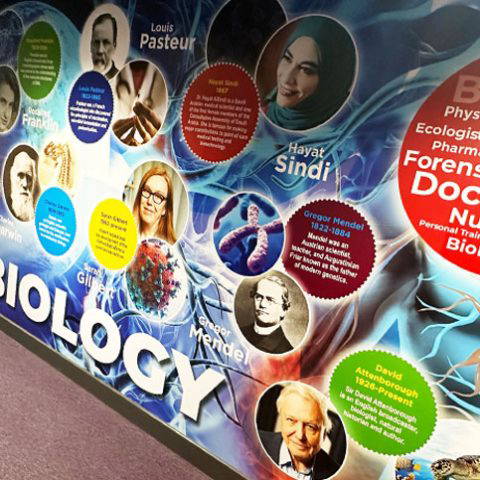 Create Inspiring School Wall Art For Your Learning Environment